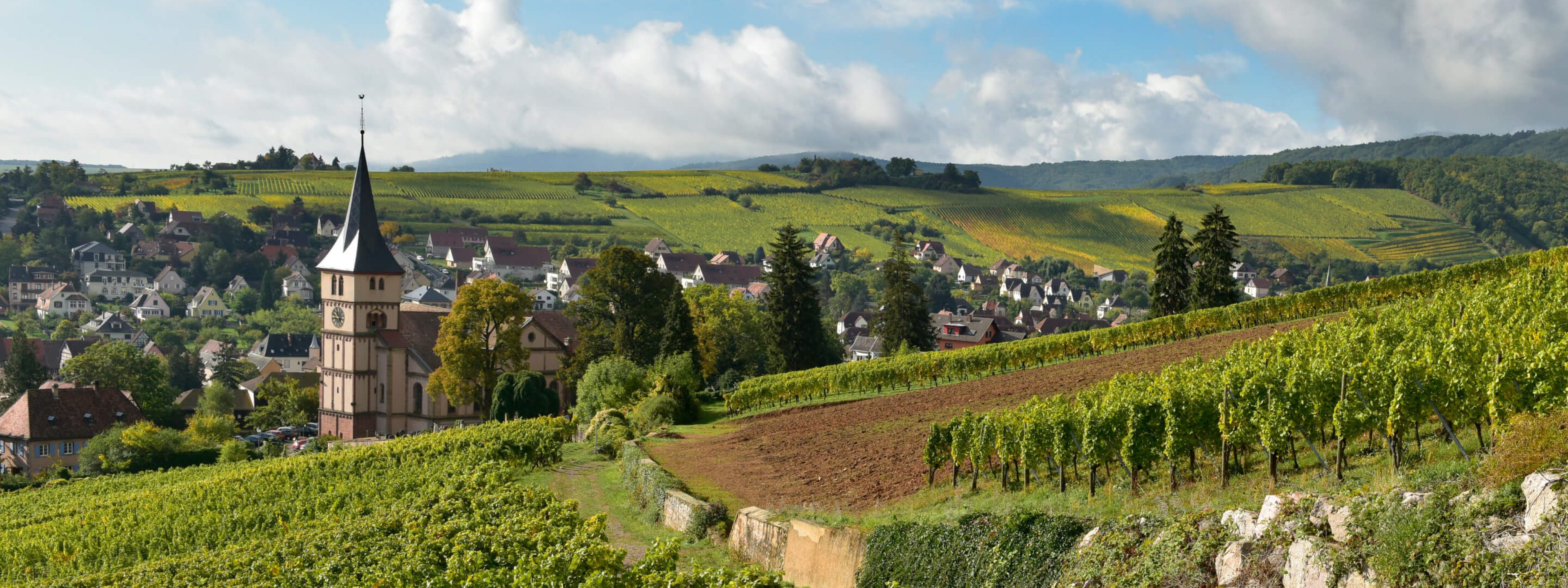 Site officiel de la ville de Barr - Accueil