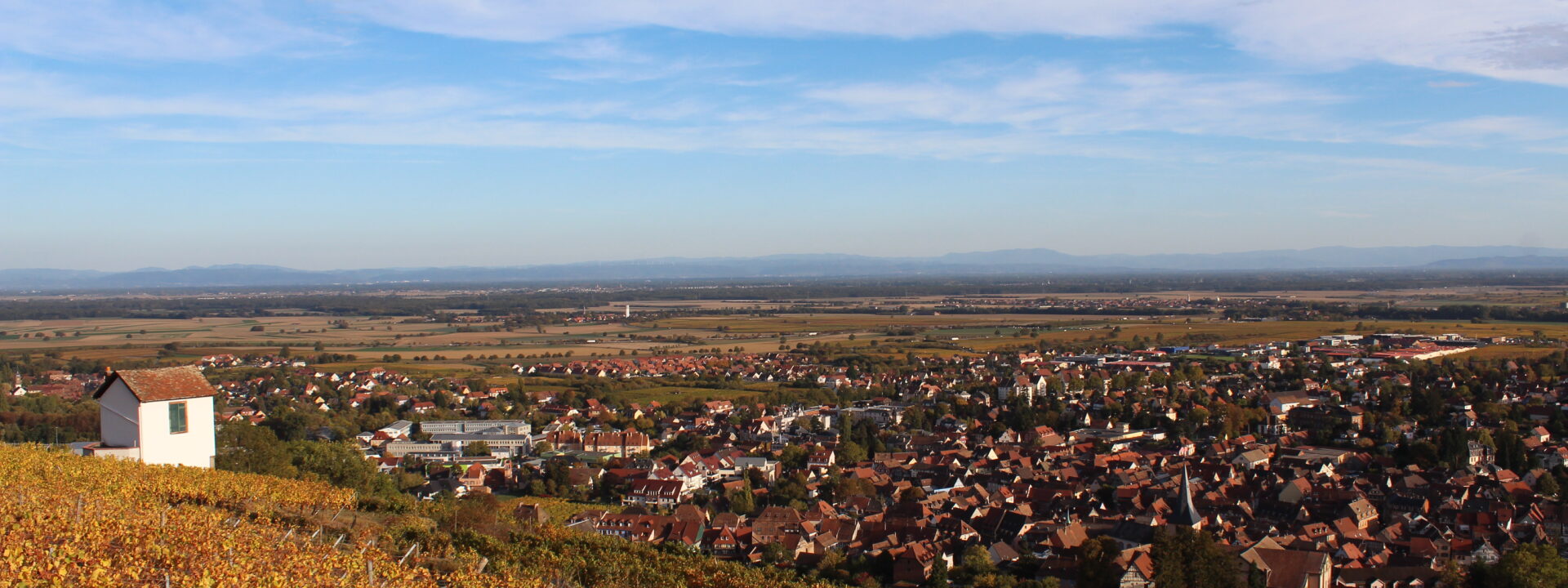 Site officiel de la ville de Barr - Accueil