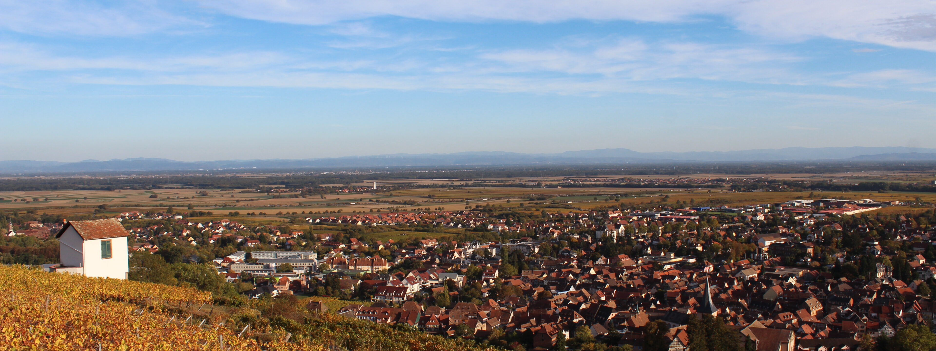 Site officiel de la ville de Barr - Accueil