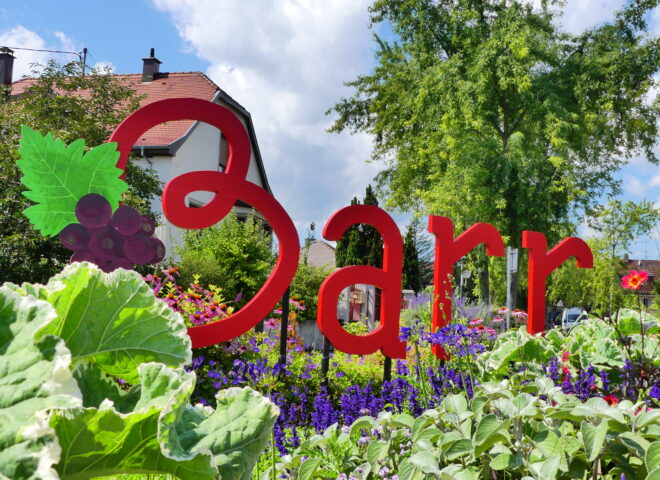 Site officiel de la ville de Barr - Accueil